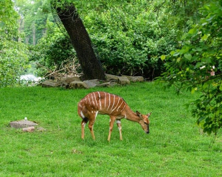 Download Blob Tree PDF: Emotional Expression Activity